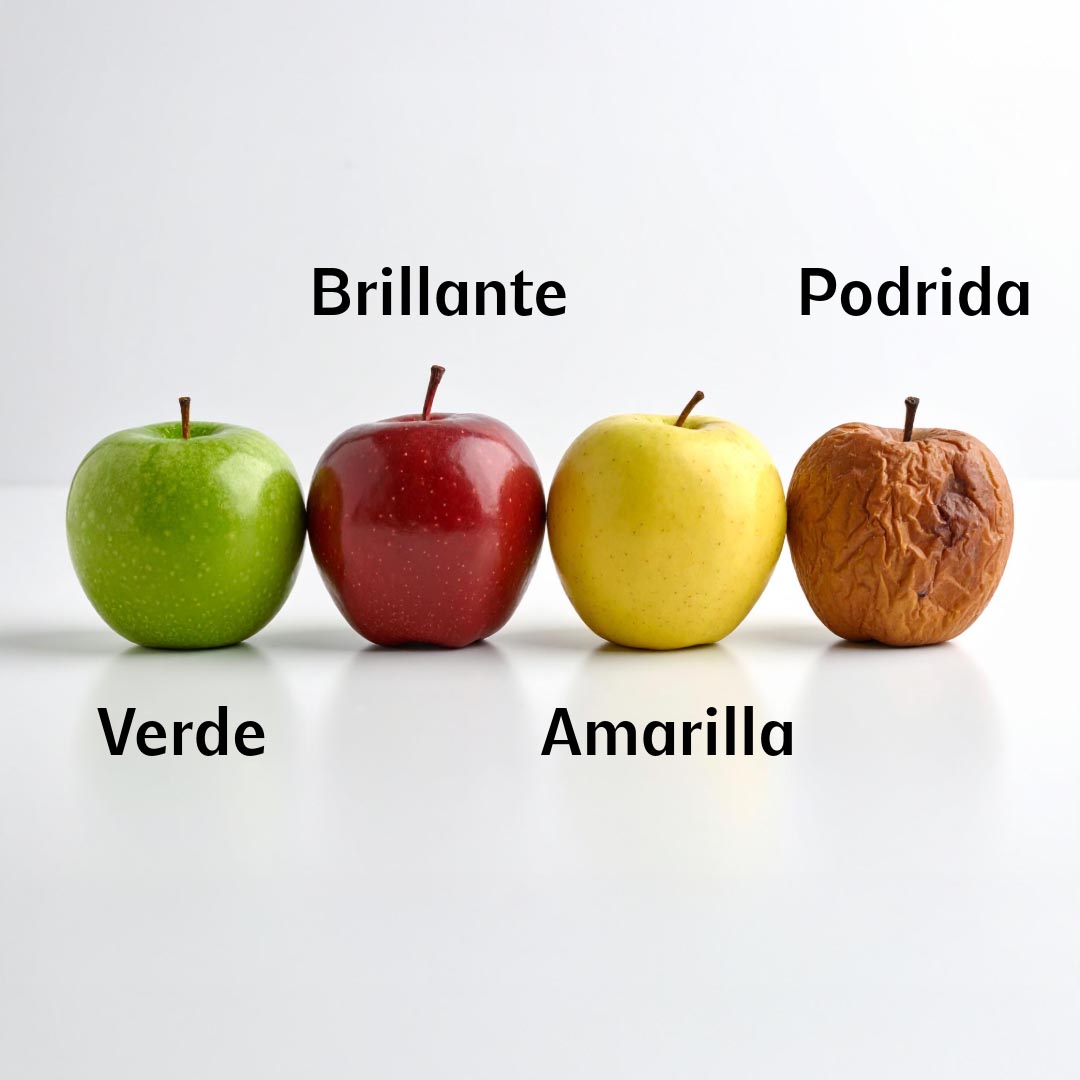 Spanish Adjectives: How to Use Them - Spanish Hobby